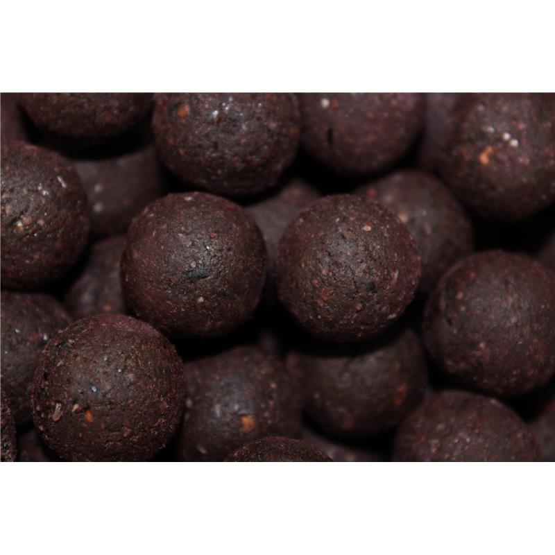 Bouillette pro elite baits boilies classic squid & octopus Belgique