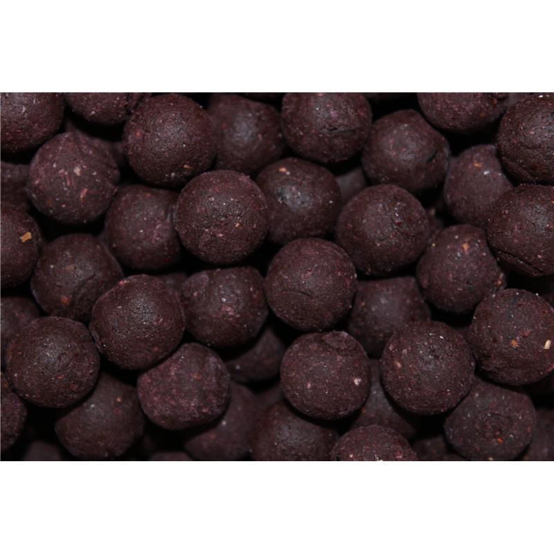 Bouillette pro elite baits boilies classic squid & octopus Belgique