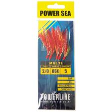 Feather train powerline power sea multi
