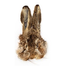 Masque de lievre fly scene hare's mask