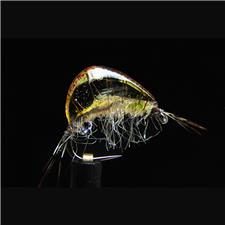 Mouche jmc nymphes gam 33 bl