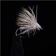 Pakkaus 3 perhoa jmc sedges enrochement clair