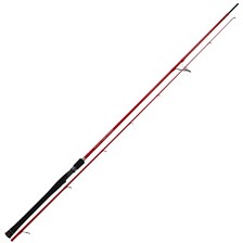 Saltwater rod tenryu dragon express evolution
