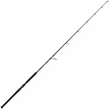 Spinningrute penn marine brigade popping spin rod Österreich